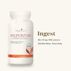 immune system support with herbal blends