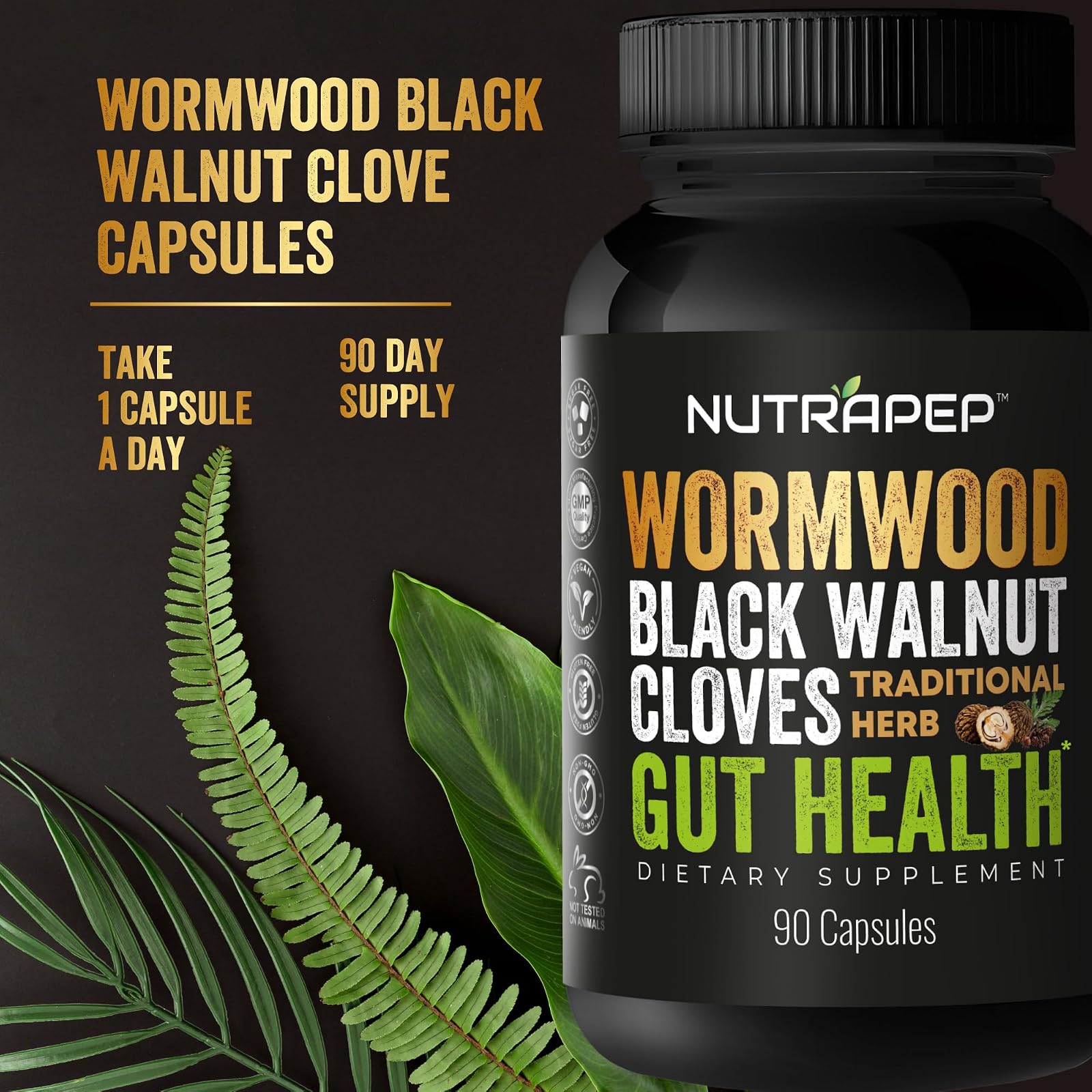 immune system support with herbs
