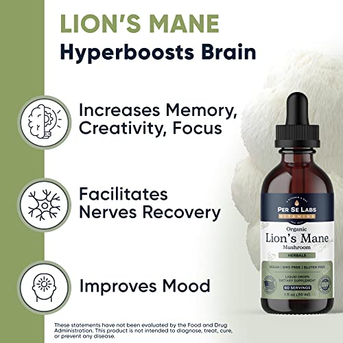 immune system support with lions mane