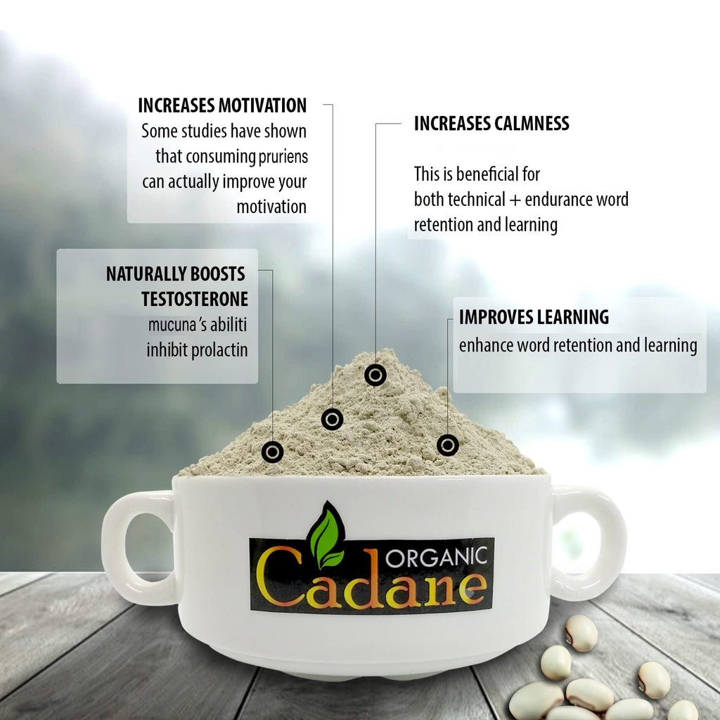 immune system support with mucuna powder