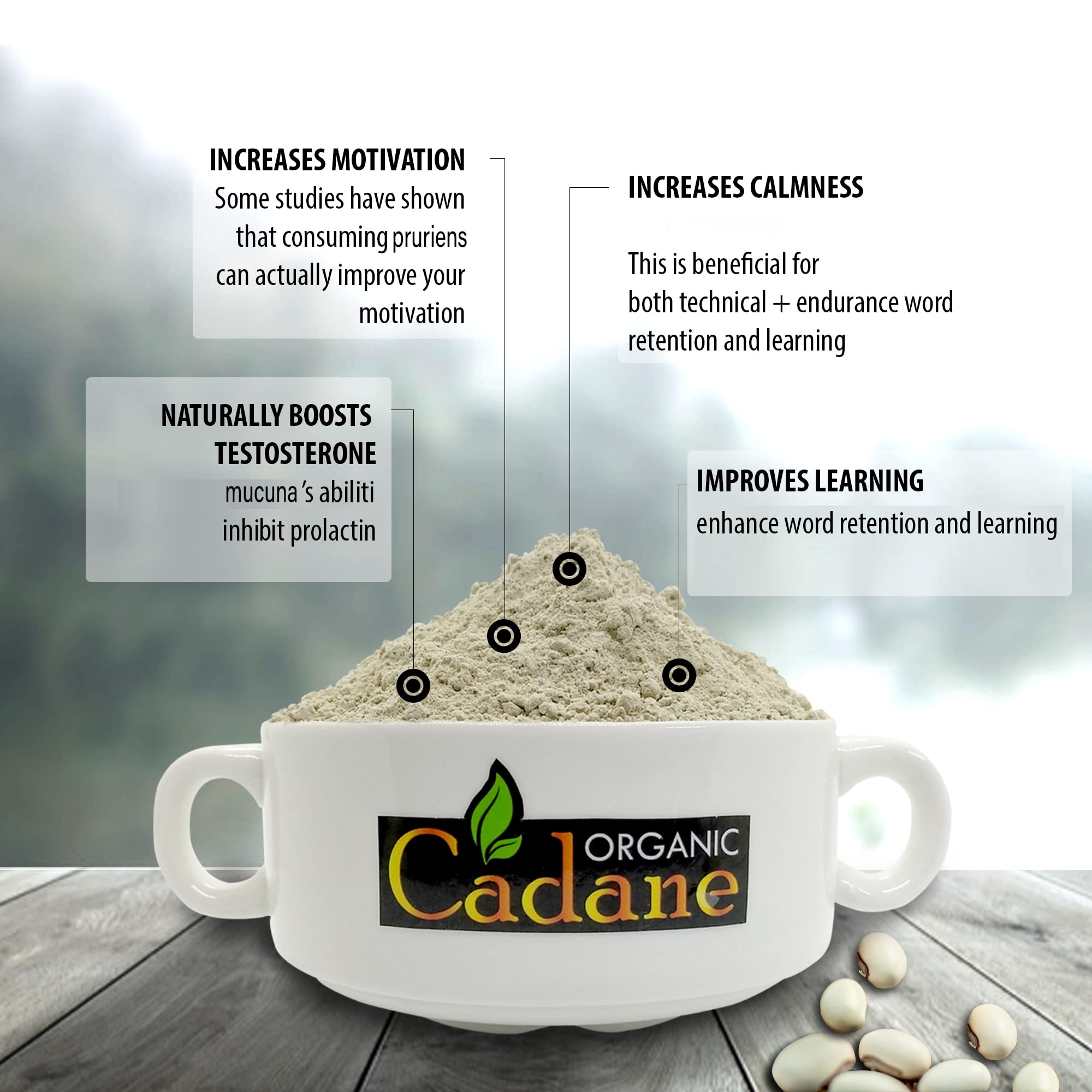 immune system support with mucuna powder