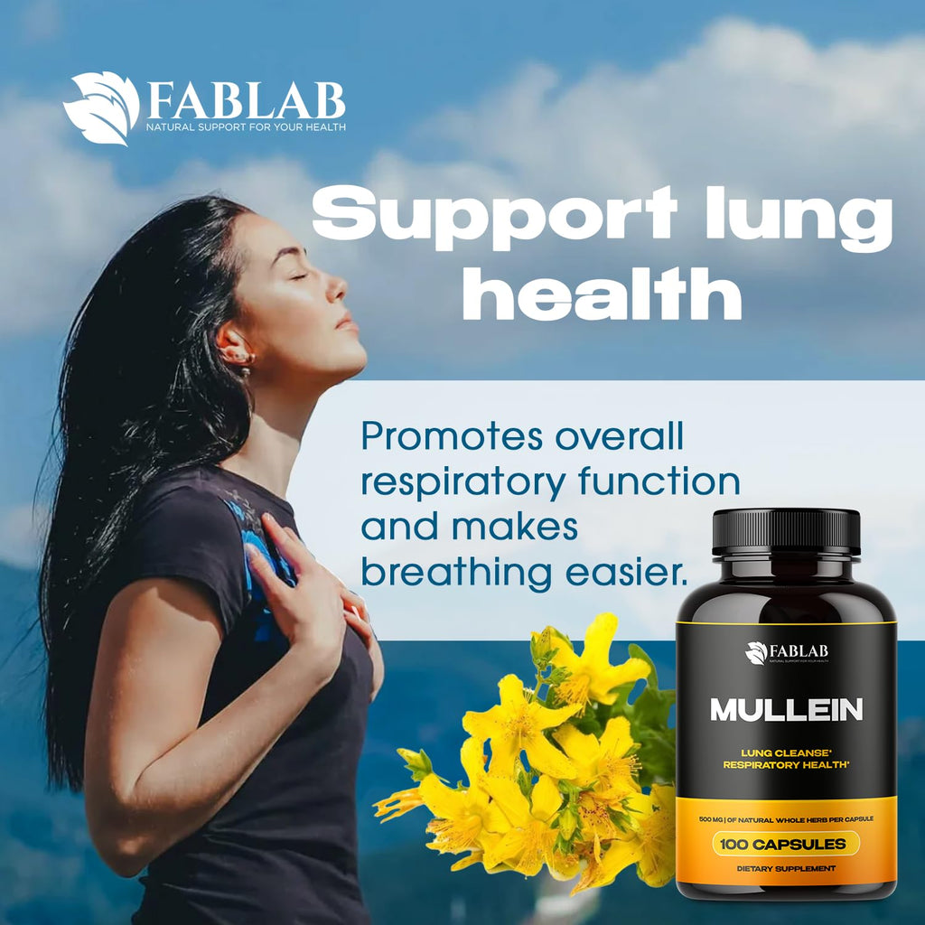 immune system support with mullein