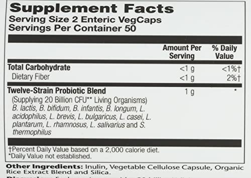 immune system support with probiotics