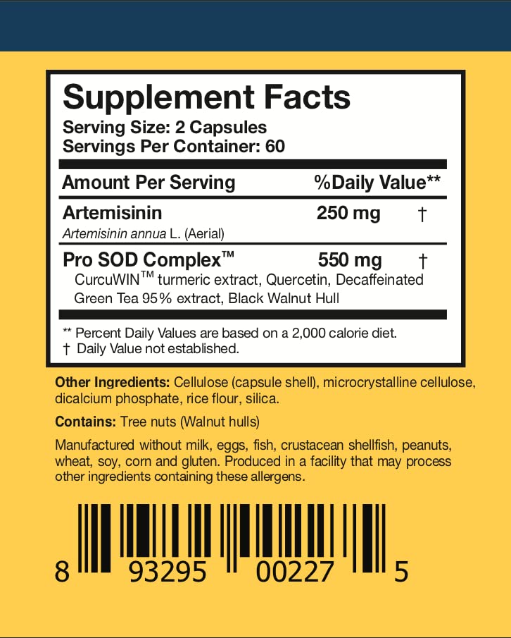 immune system support with quercetin