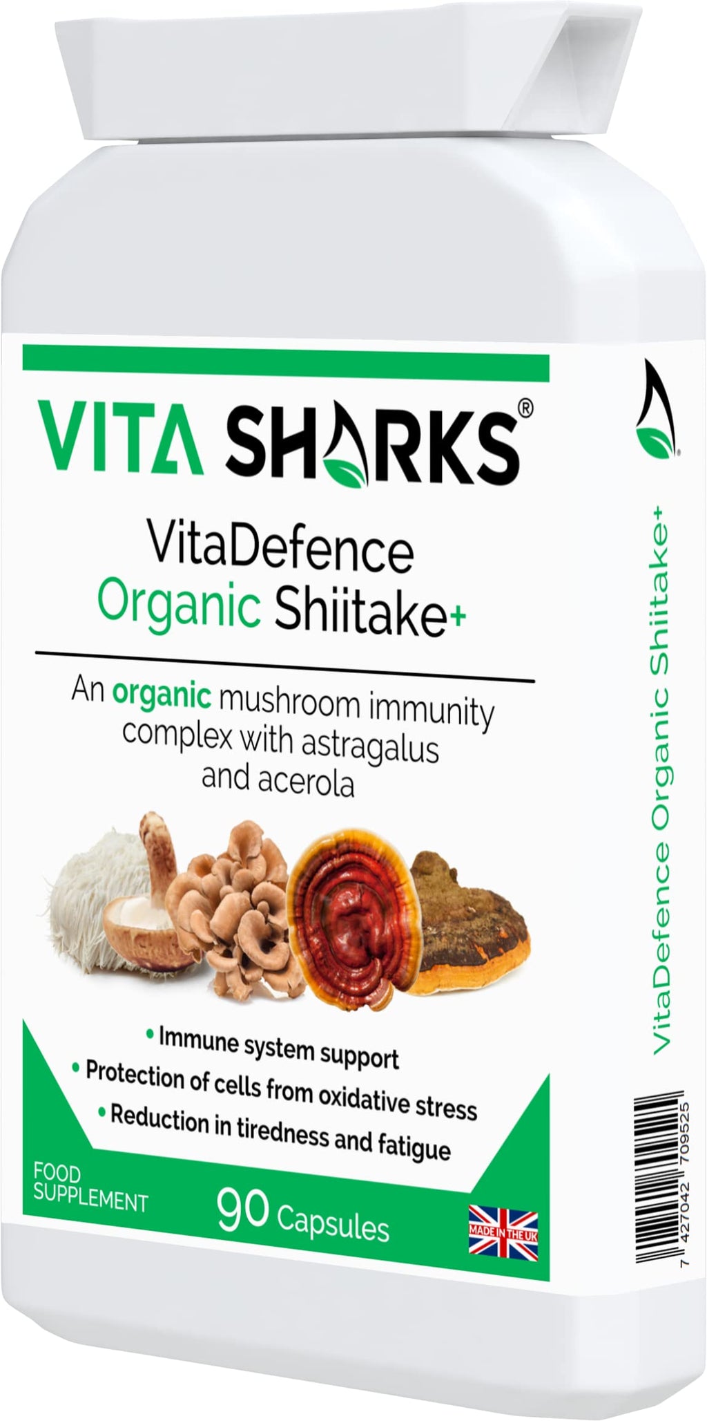 immune system support with Vitamin C