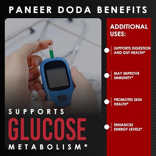 immune system support with vitamins