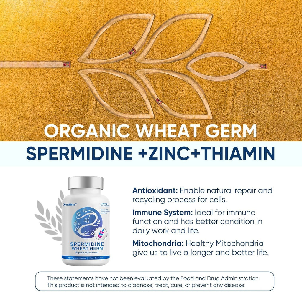 Immune system support with zinc and spermidine