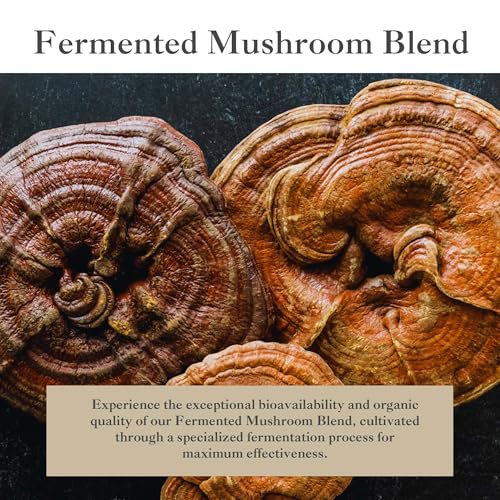 immunity-boosting mushroom capsules
