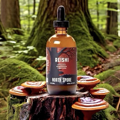 immunity boosting mushroom extract