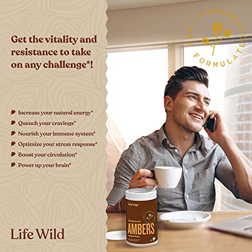 immunity boosting mushroom supplement