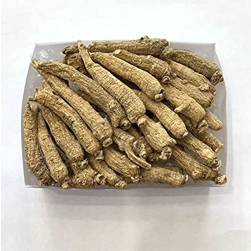 immunity support from ginseng root