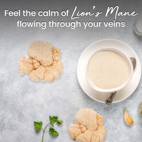immunity support from lion's mane