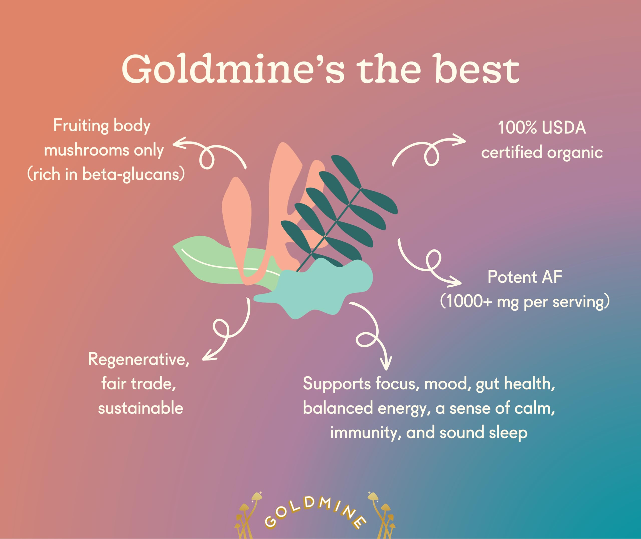 immunity support mushroom blend