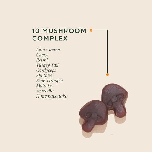 immunity support mushroom supplements