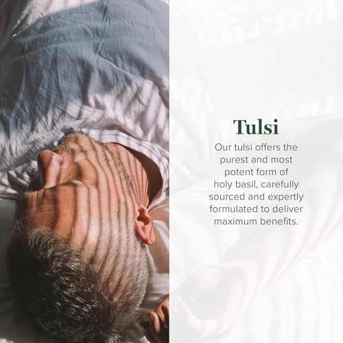 immunity support with holy basil