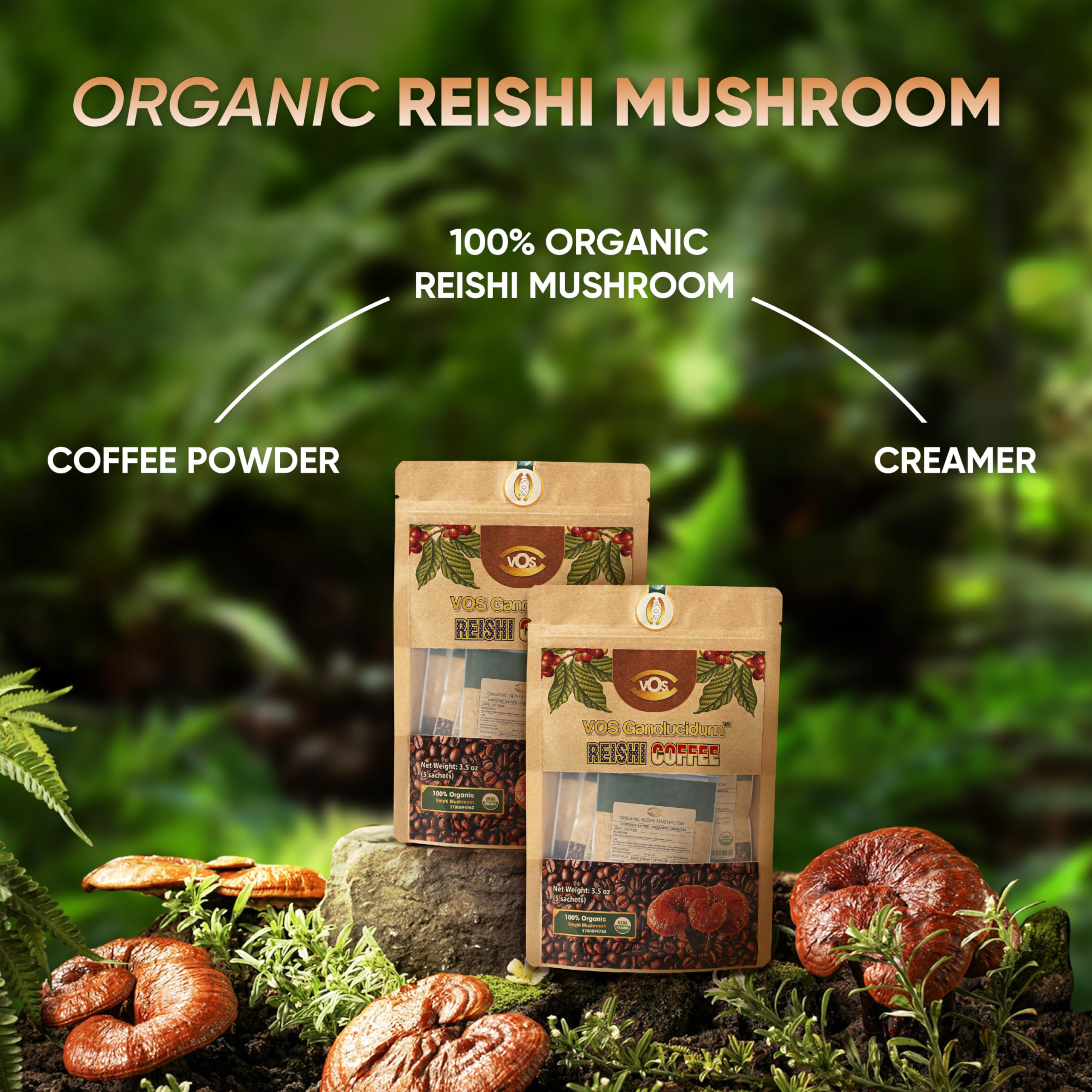 immunity support with reishi mushrooms