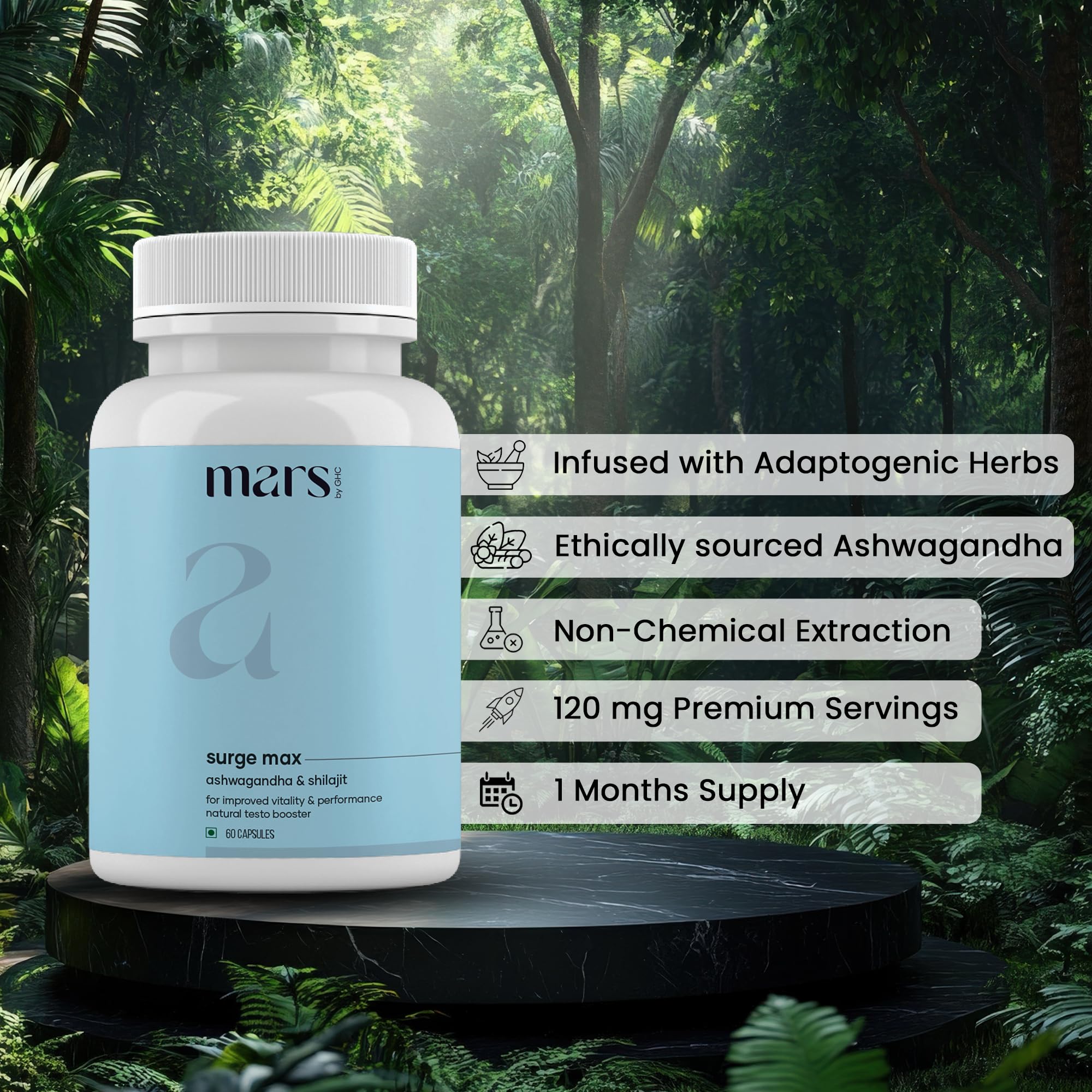immunity support with shilajit supplements