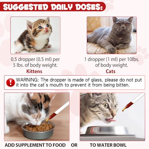 improve cat energy naturally