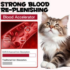 improve cat energy with iron