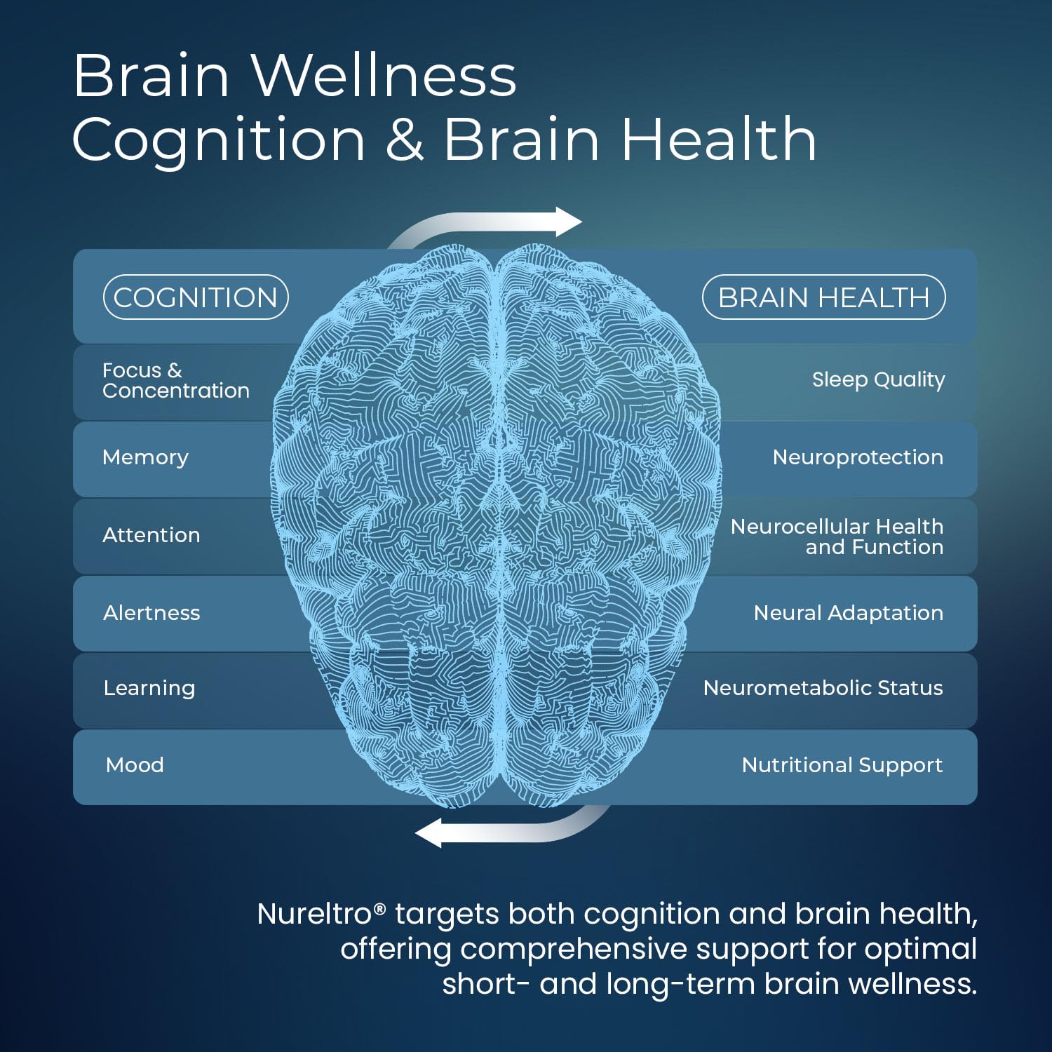improve cognitive function with nootropic formula