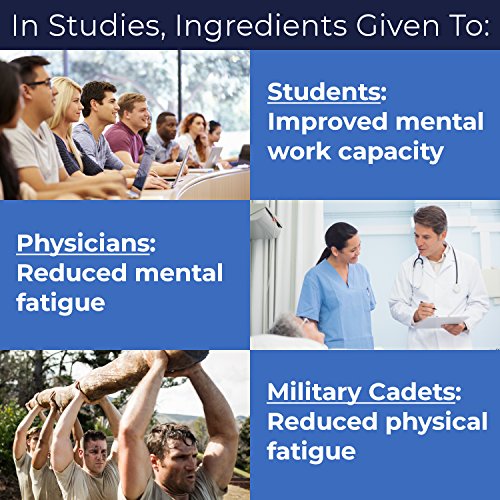improve concentration with ginkgo biloba