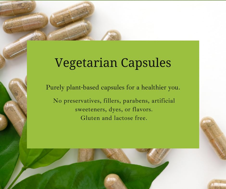 improve concentration with herbs