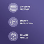 improve digestion with Dr. Mercola enzymes