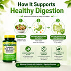 improve digestive health with probiotics