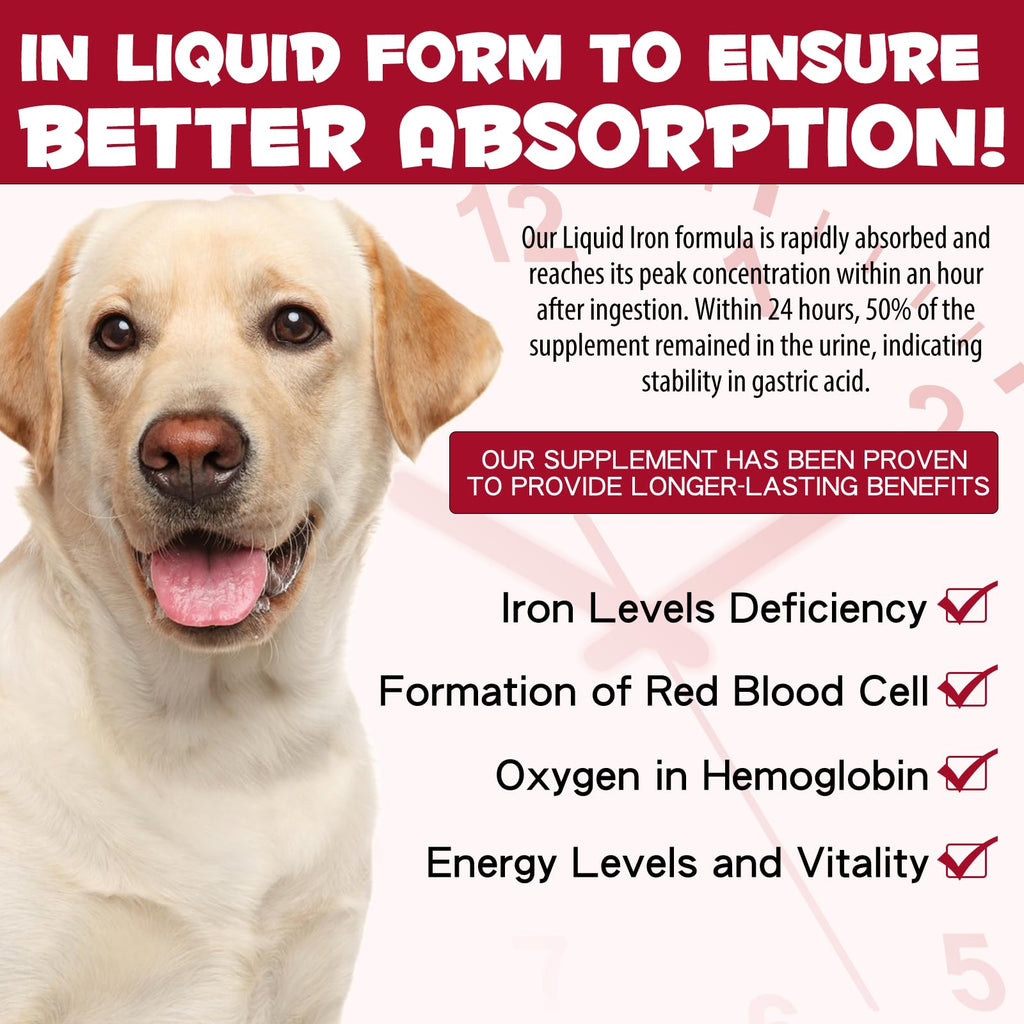 improve dog stamina with iron