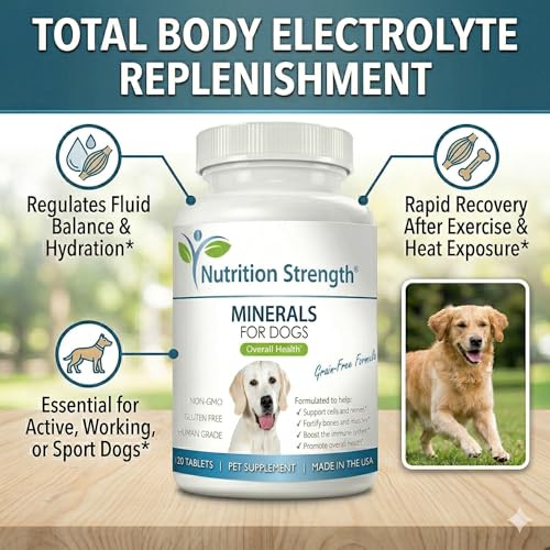 improve dog vitality with minerals