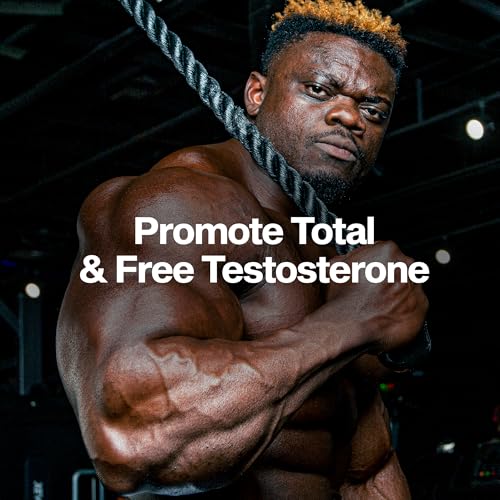 improve energy levels AlphaTest capsules