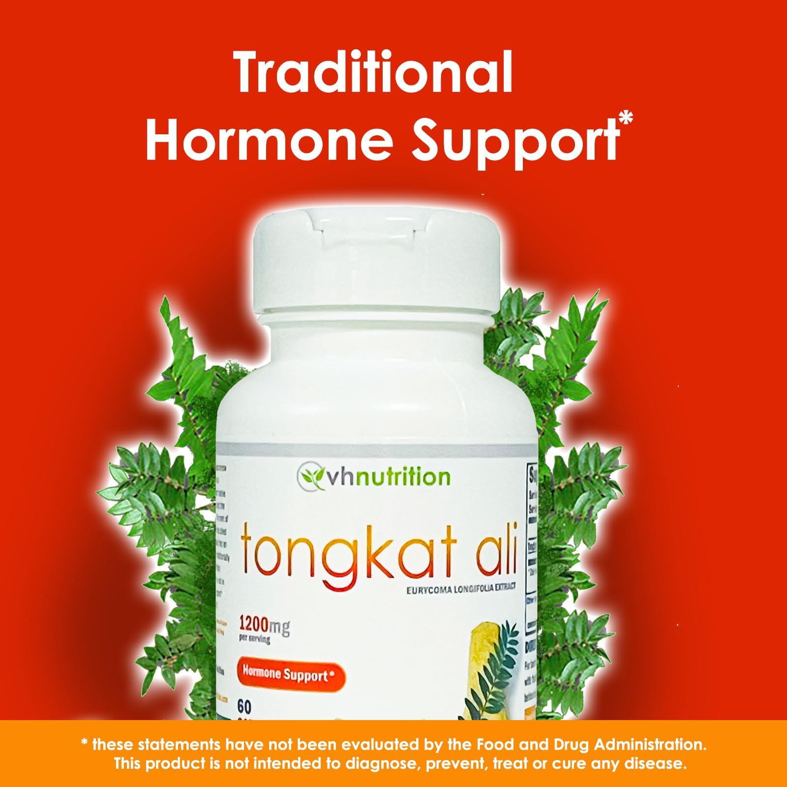 improve energy levels with VH Nutrition
