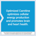 improve exercise performance l-carnitine