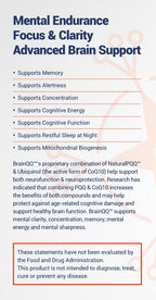 improve focus with BrainQQ nootropics