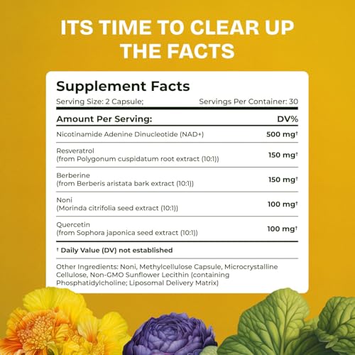 improve focus with nad plus