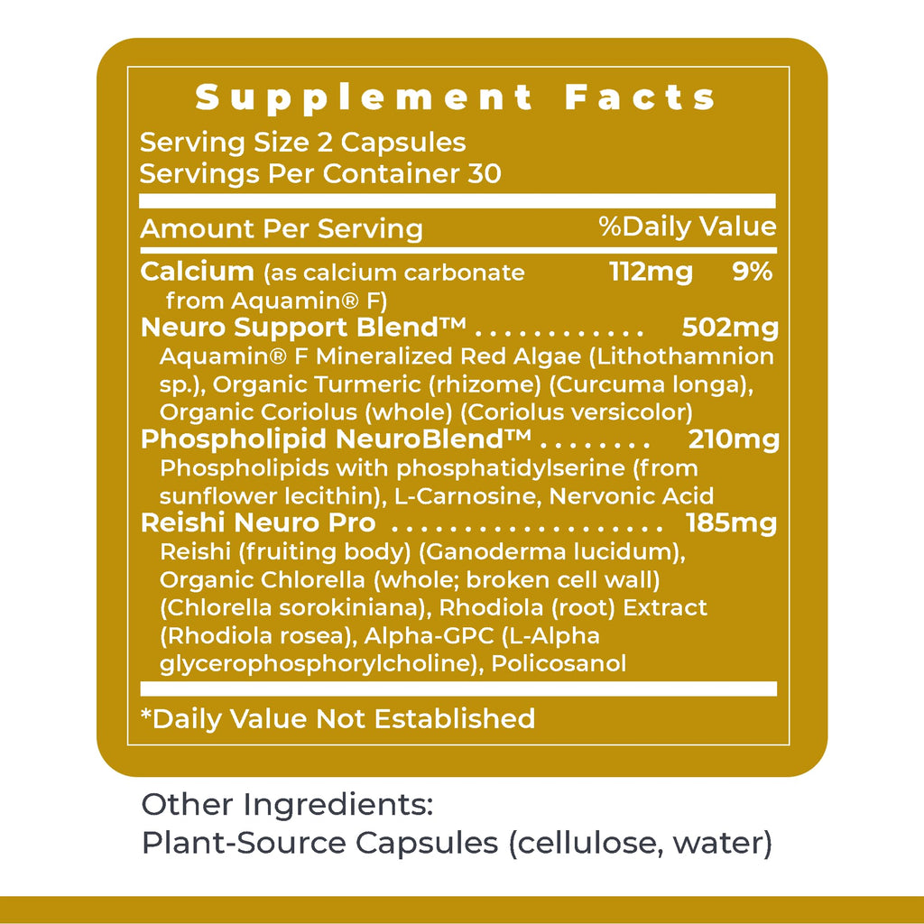 improve focus with vegetarian supplements