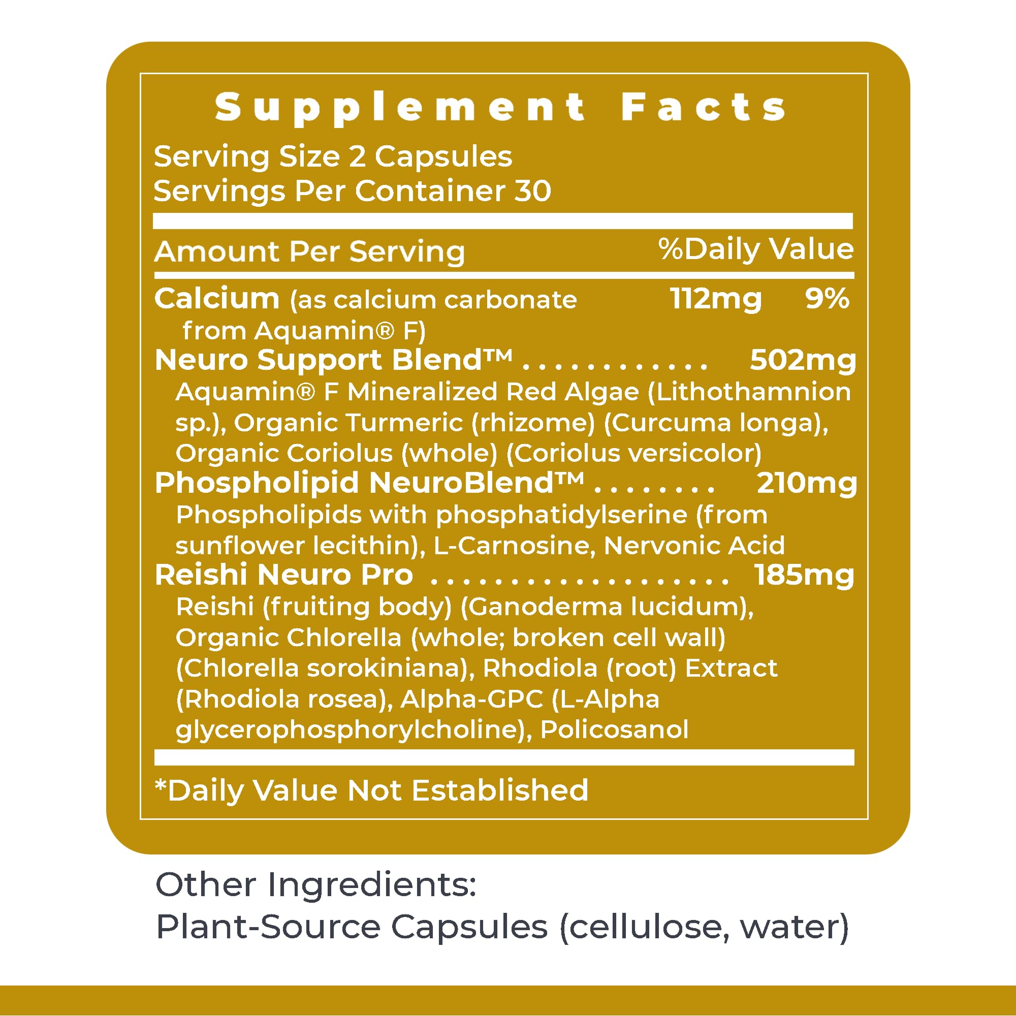 improve focus with vegetarian supplements