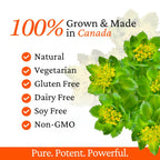 improve gut flora balance