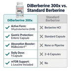 improve gut health with berberine