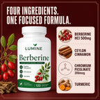 improve gut health with Berberine