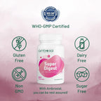 improve gut health with digestive enzymes