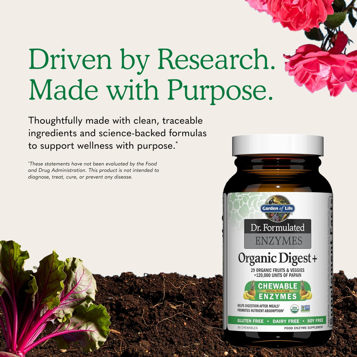 improve gut health with enzymes