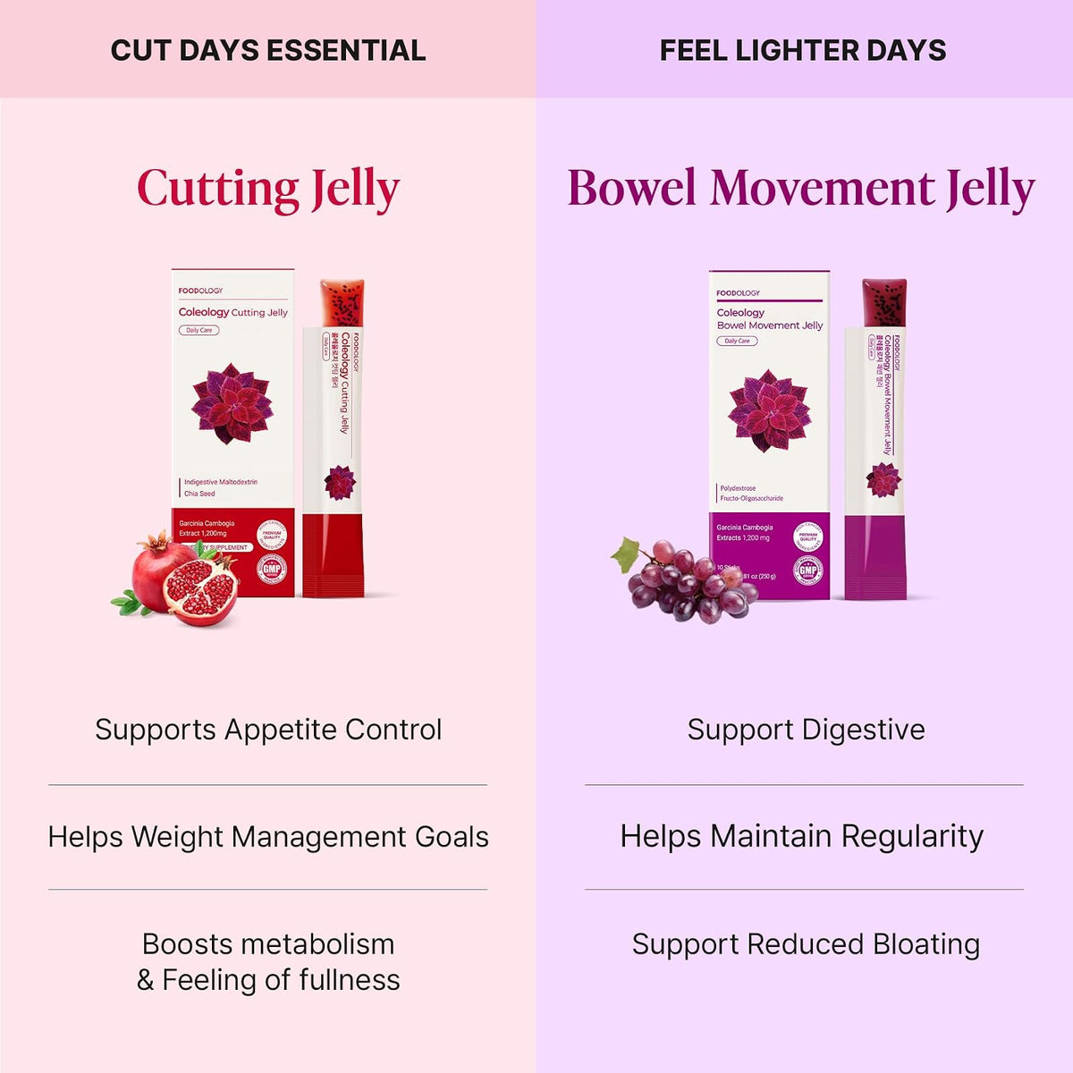 improve gut health with fiber