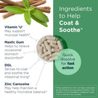 improve gut health with GastroMend HP