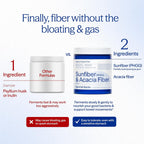 improve gut health with prebiotics