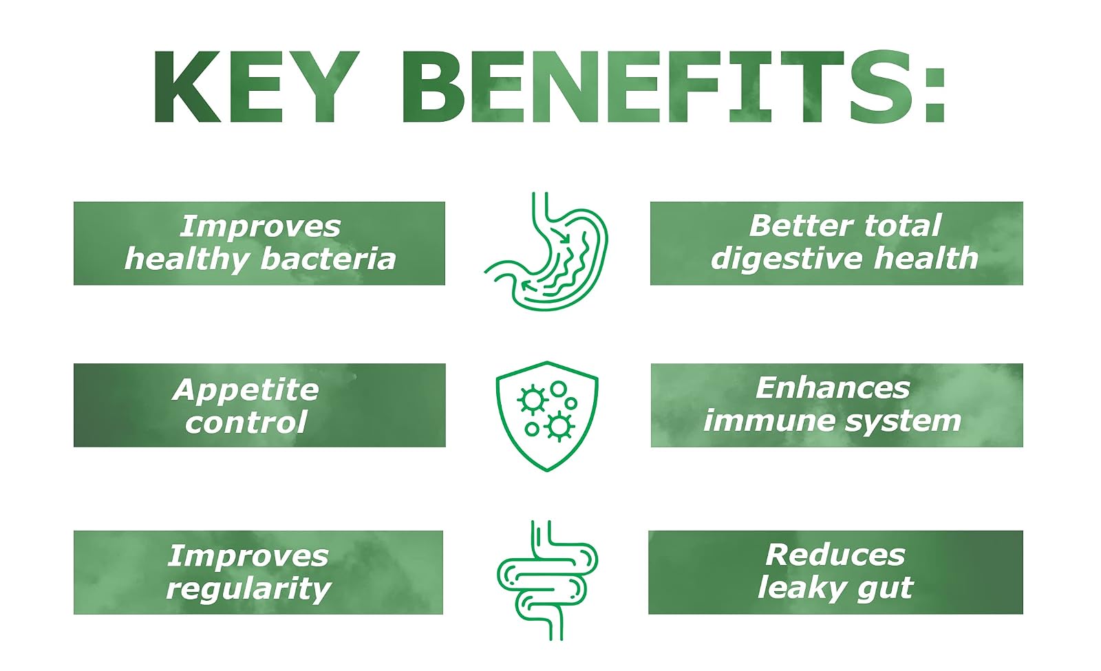 improve gut health with prebiotics