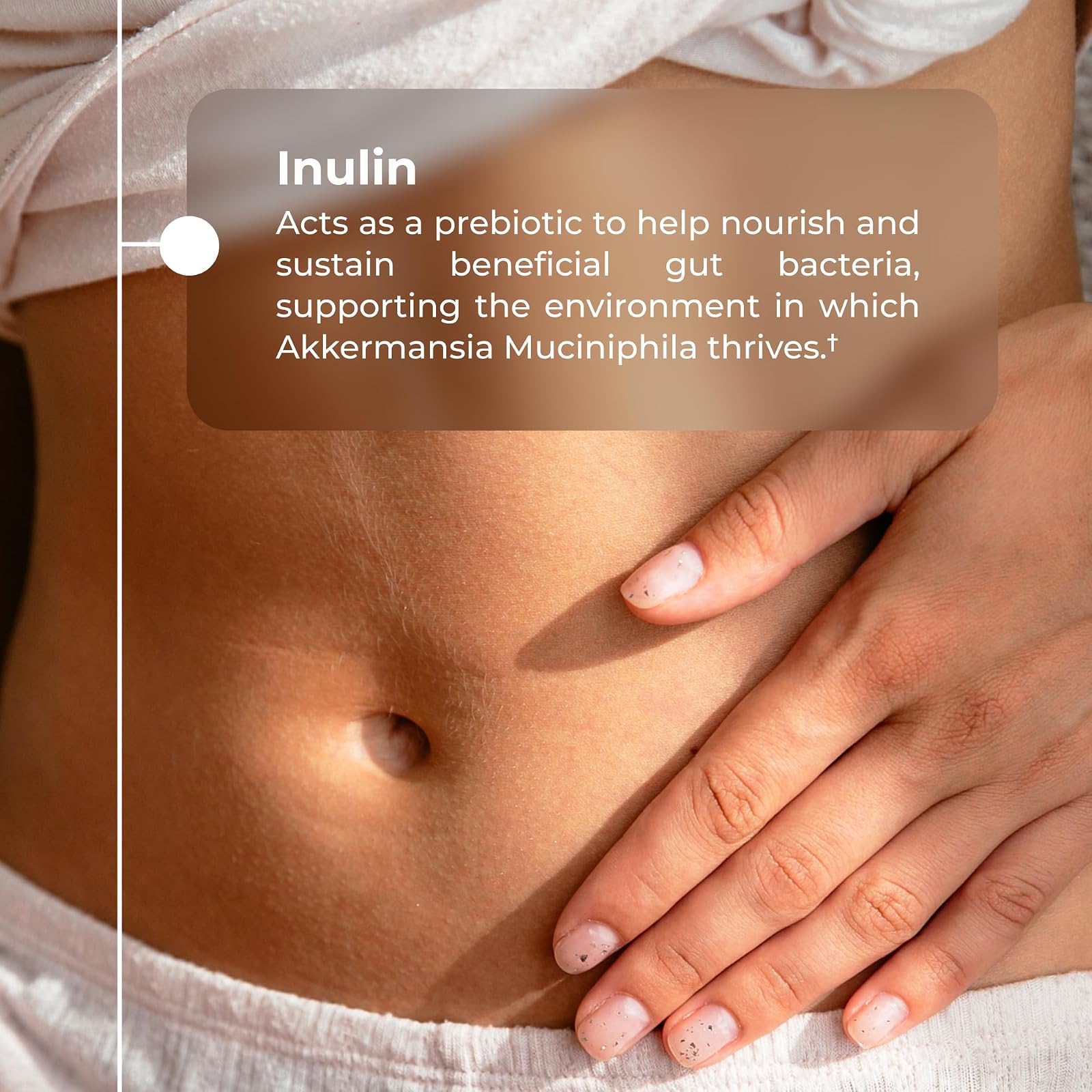 improve gut microbiome balance