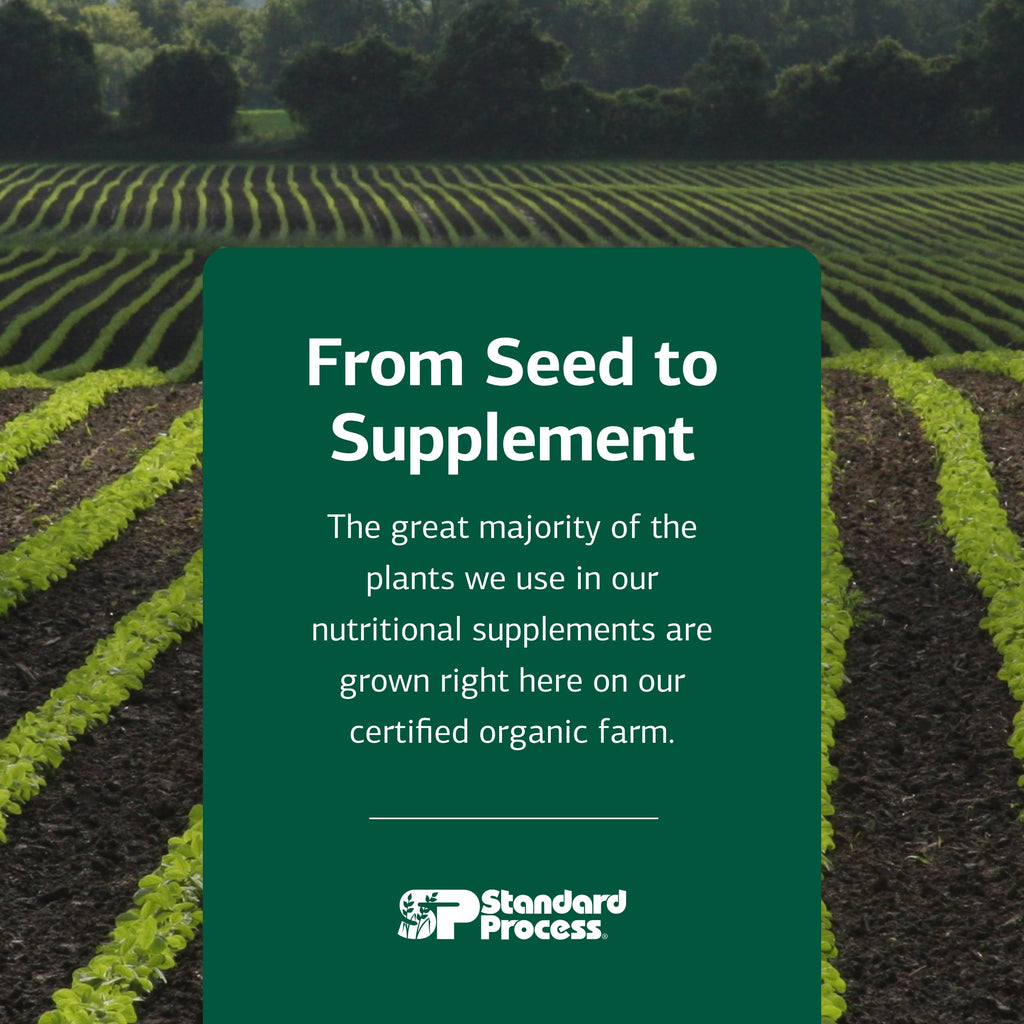 improve health with blended mineral supplements