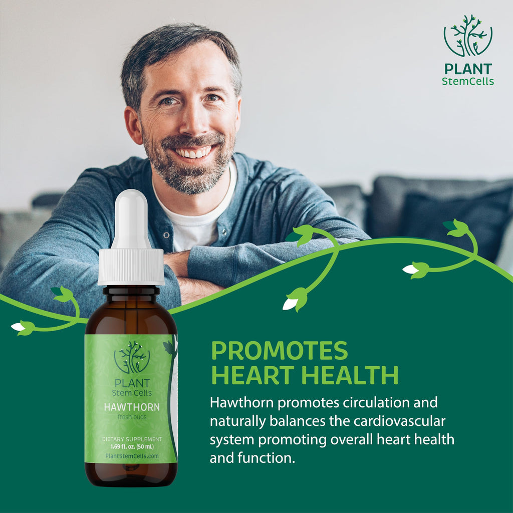 improve heart health with hawthorn