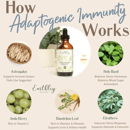 improve immune function naturally